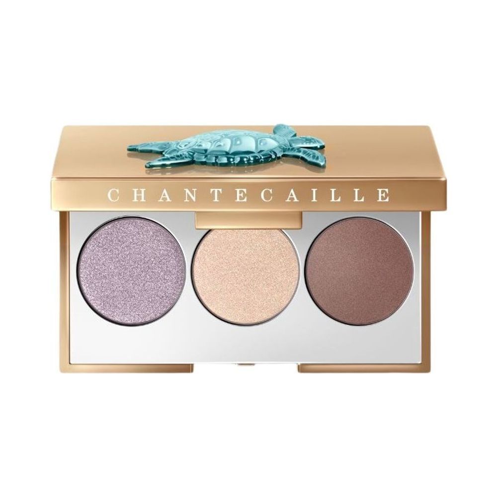 Chantecaille eyeshadow store